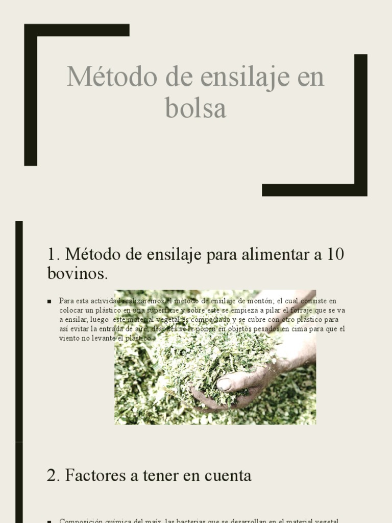 Método de Ensilaje en Bolsa | PDF