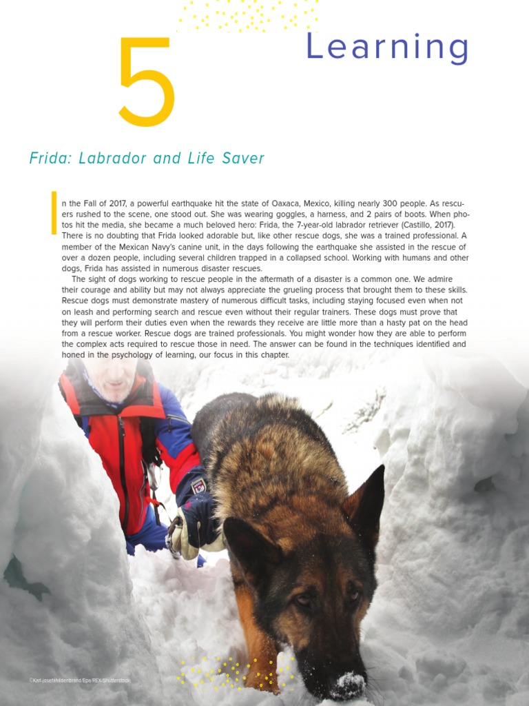 Chapter 5 - Learning | PDF | Classical Conditioning | Learning