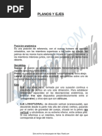 Términos de Lateralidad en Anatomía | PDF | Términos anatómicos de ...