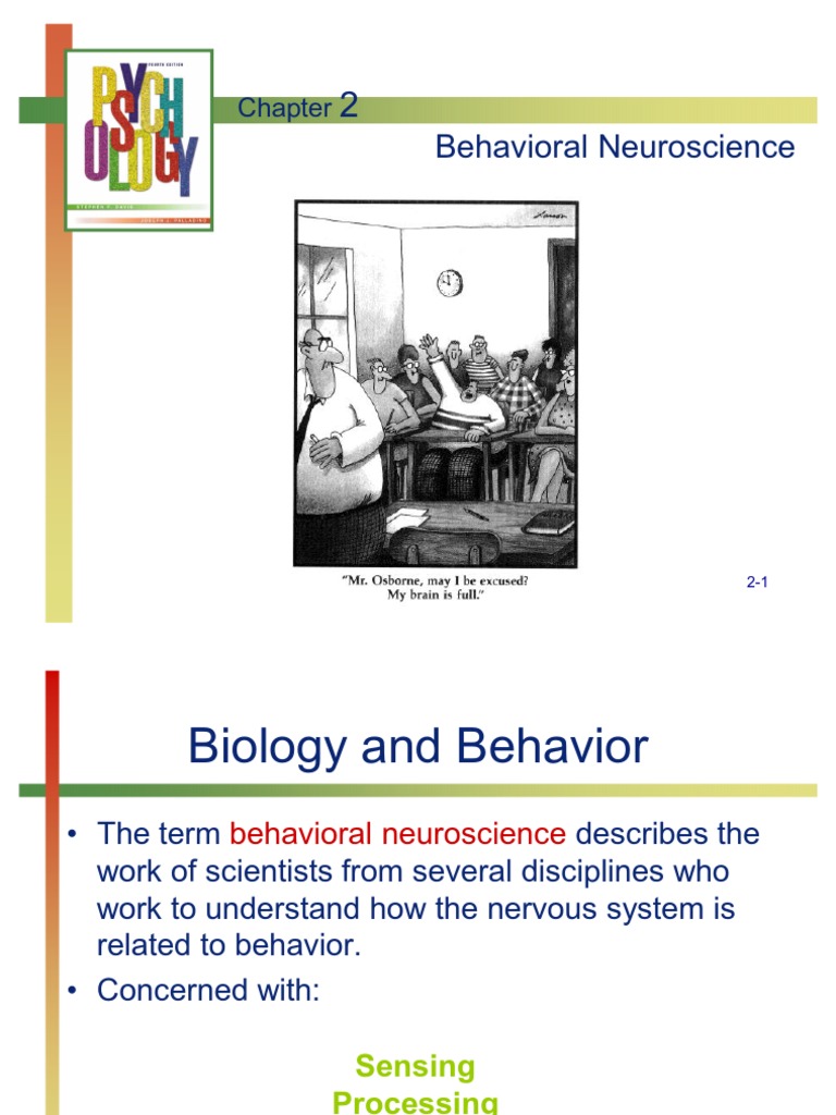 Biological Foundation of Behavior | PDF | Nervous System | Central ...