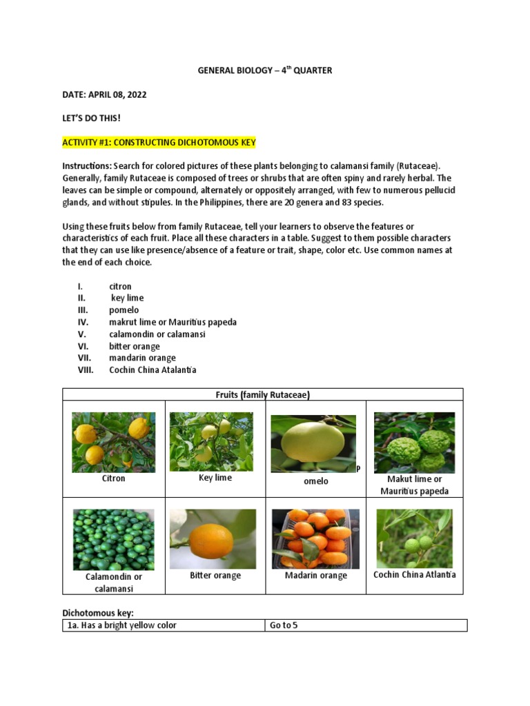 Dichotomous Key for Rutaceae Fruits | PDF | Orange (Fruit) | Crocodile