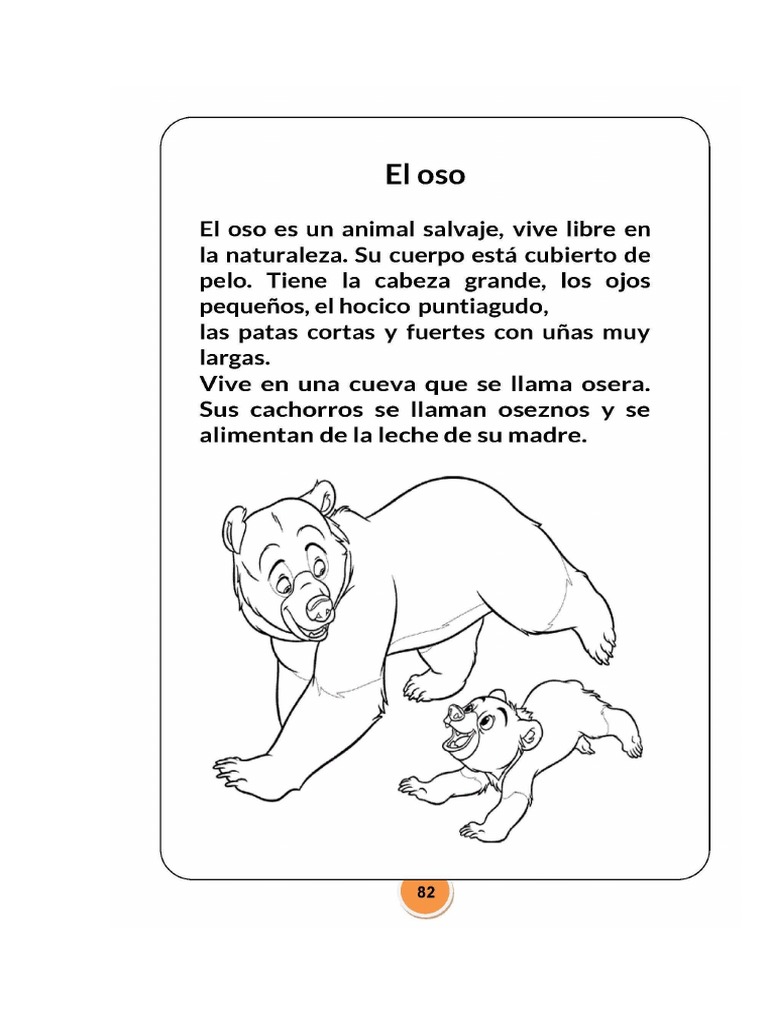 Lectura Del Oso | PDF