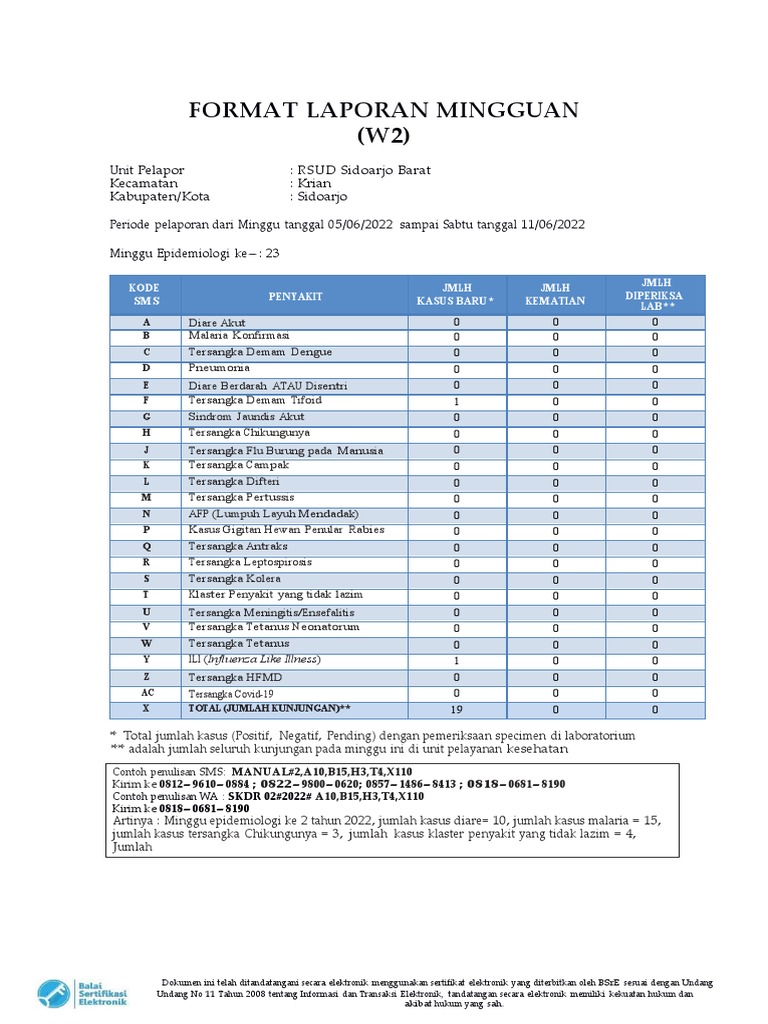 Contoh Laporan W2 | PDF