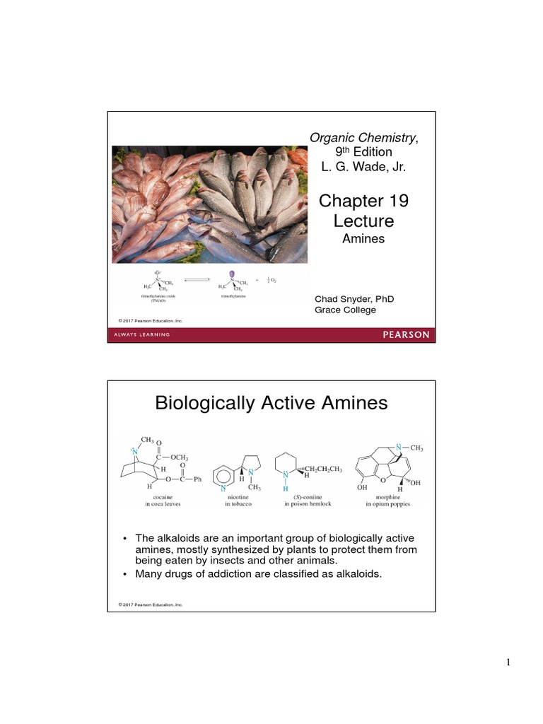 Biologically Active Amines: Organic Chemistry | PDF | Amine | Chirality ...