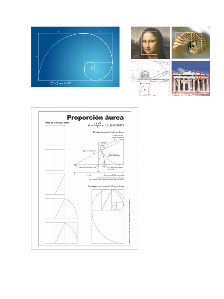 Proporcion aurea | PDF