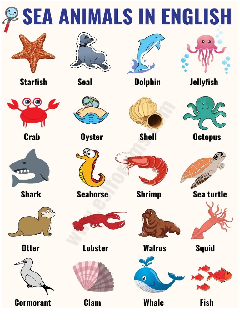 sea animals | PDF