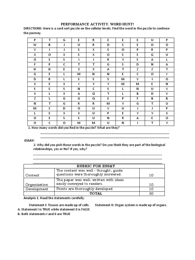 Performance Activity. Word Hunt! | PDF