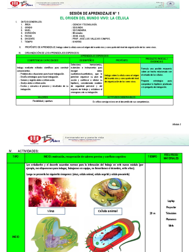 9 Sesión de Aprendizaje | PDF | Organismos | Biología Celular)