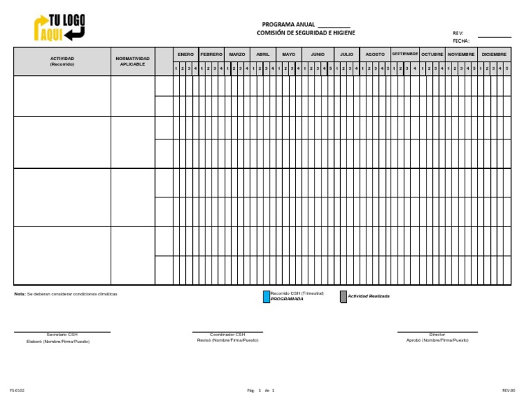 Programa Anual Comisión De Seguridad E Higiene Pdf