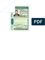 Modelo de CNH Editável em PDF | PDF
