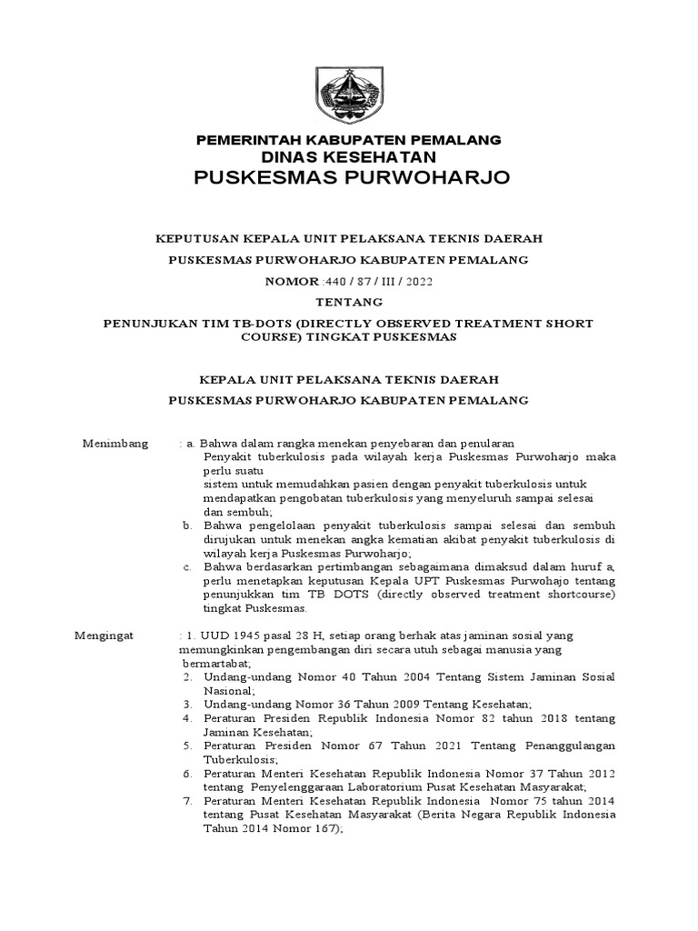 SK DOTS Puskesmas | PDF