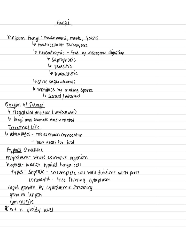 Fungi Notes | PDF | Fungus | Spore