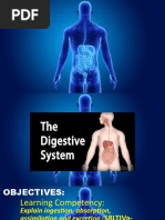 Grade 8 Digestive System | PDF