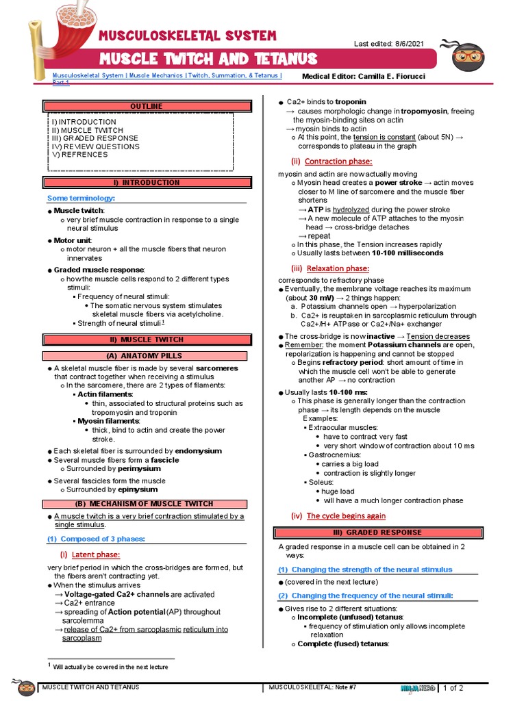 392_Musculoskeletal_Physiology_Muscle_Mechanics_Twitch,_Summation | PDF ...