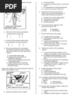 Insects Pdf Insects Lizard