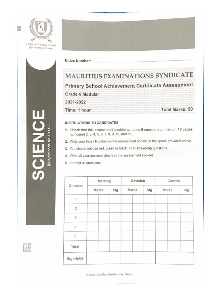 2022 - G6 - Final | PDF