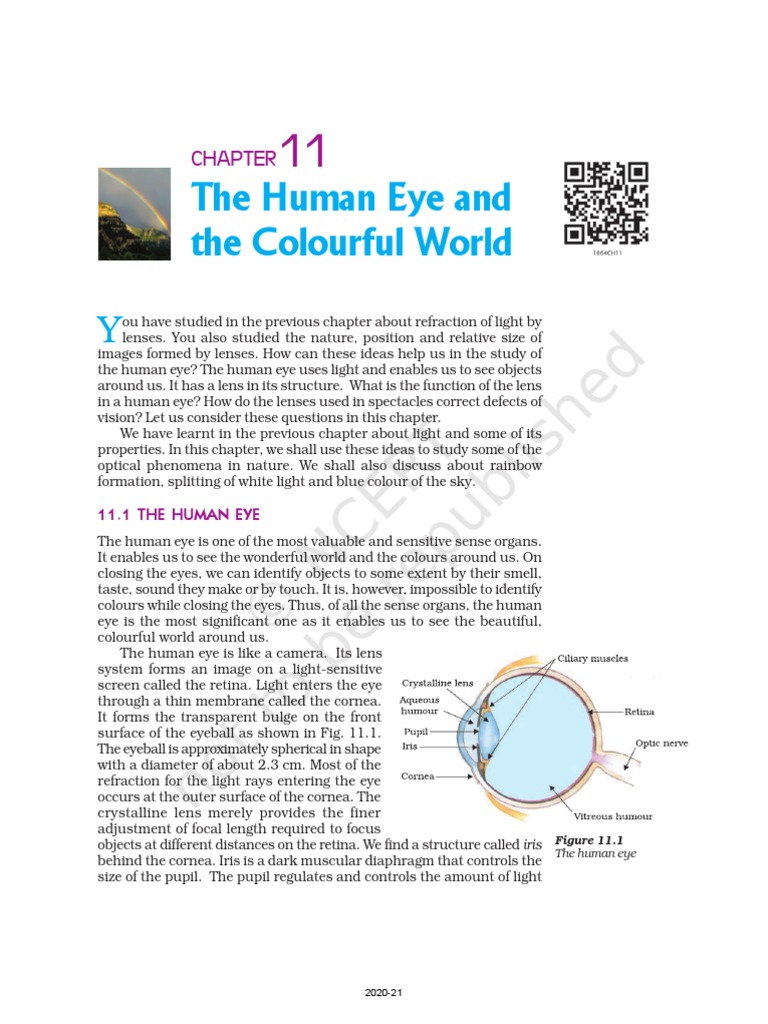 NCERT Books For Class 10 Science Chapter 11 Human Eye and Colorful ...