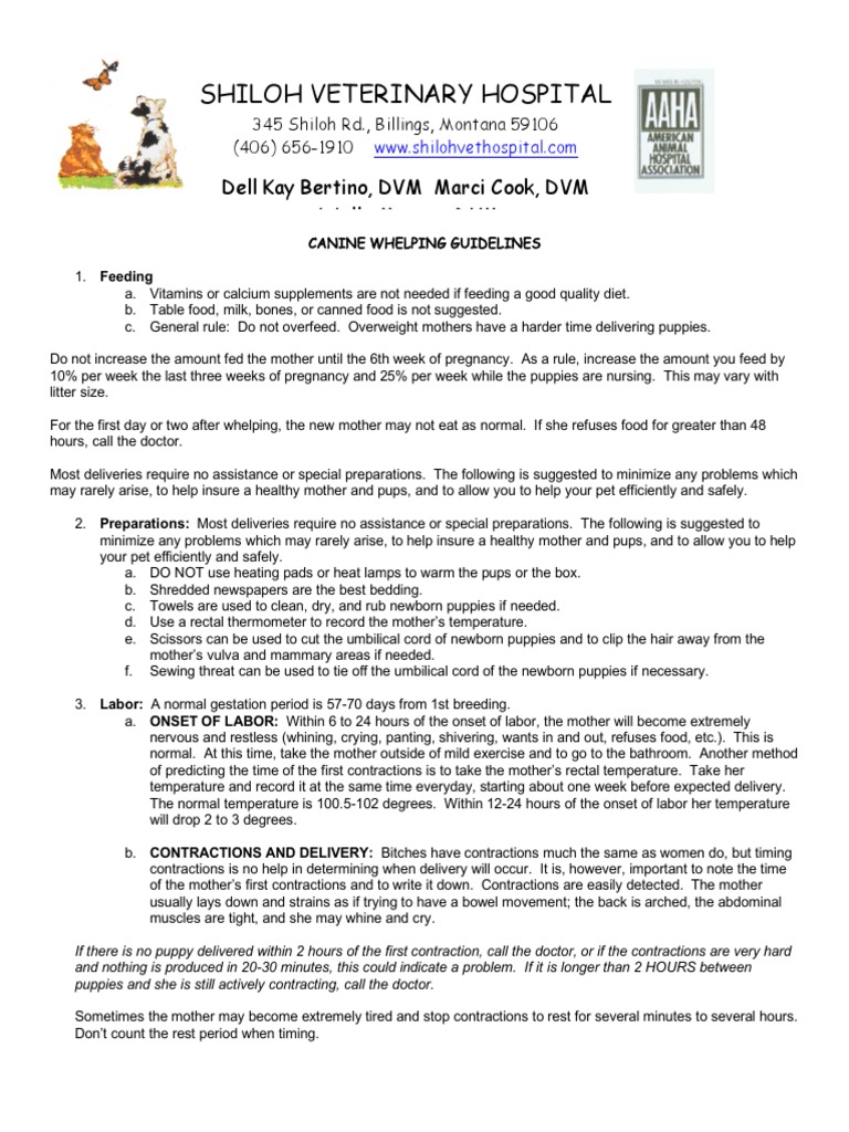 Shiloh Veterinary Hospital: Dell Kay Bertino, DVM Marci Cook, DVM ...