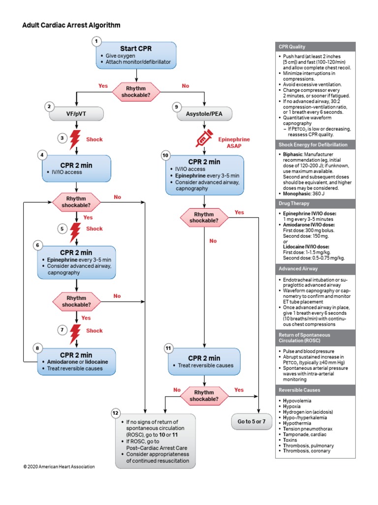 Adult Cardiac Arrest Algorithm: VF/PVT Asystole/PEA | PDF ...