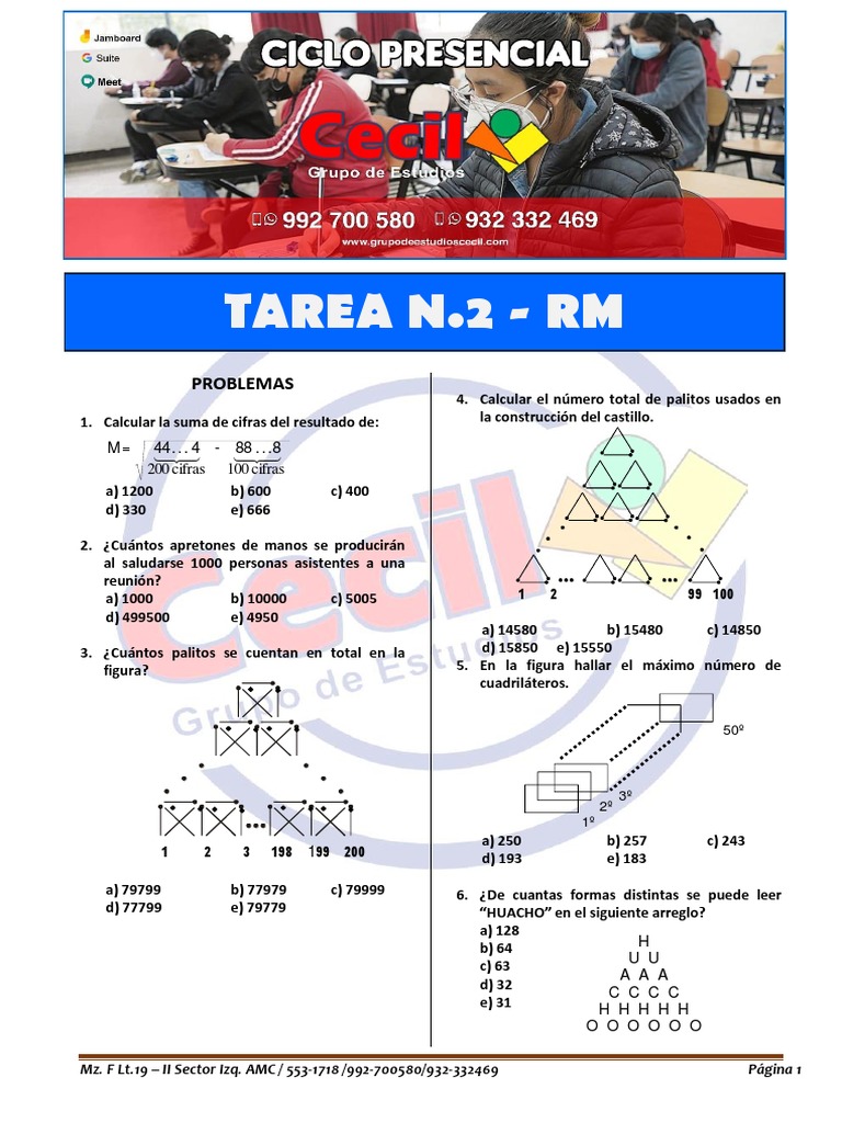 Tarea N.2 - RM: Problemas | PDF
