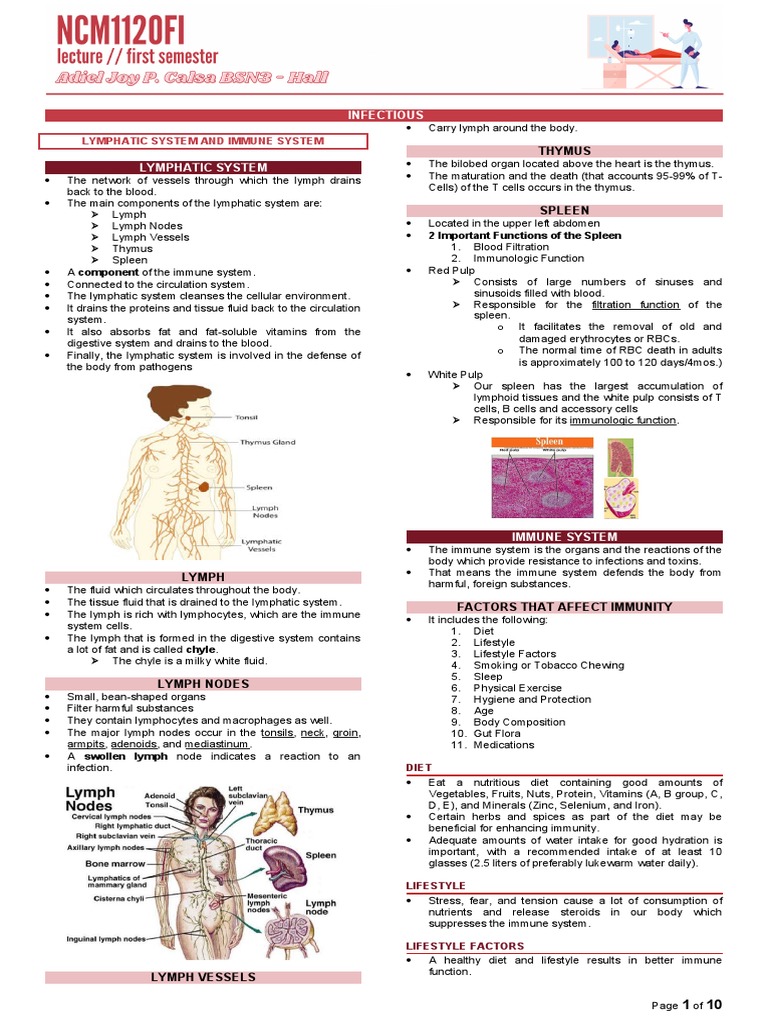 The Relationship Between the Lymphatic System, Immune System, and Factors that Impact Immunity ...