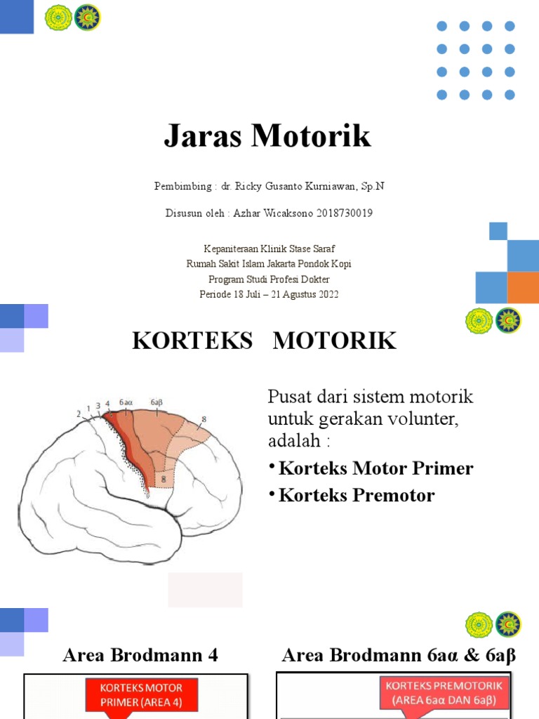 Jaras Motorik | PDF