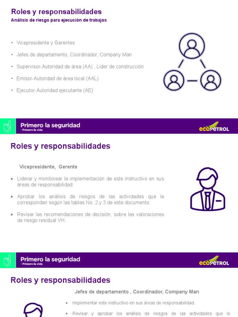 Roles y Responsabilidades | PDF