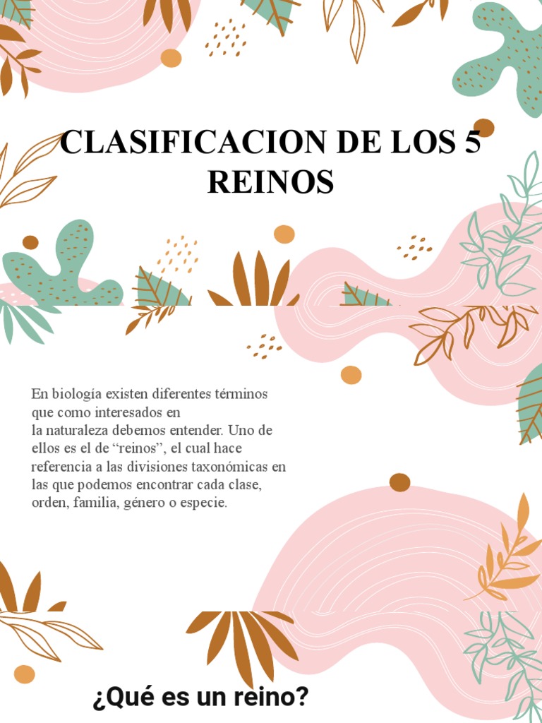 Clasificacion de Los Reinos | PDF | Ciencias de la vida | Naturaleza