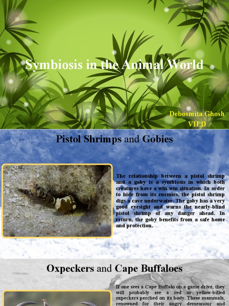 Symbiosis in Animal World | PDF | Home & Garden | Young Adult