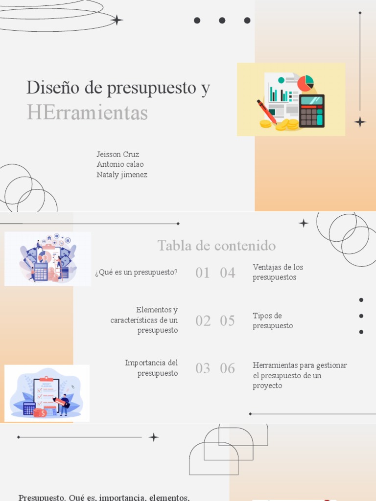 Diseño de Presupuesto | PDF | Presupuesto | Business