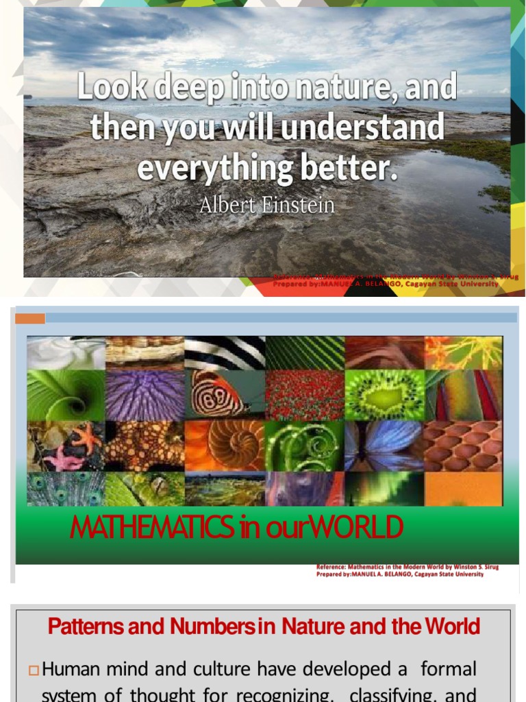 1-1 - Patterns and Numbers in Nature and The World | PDF