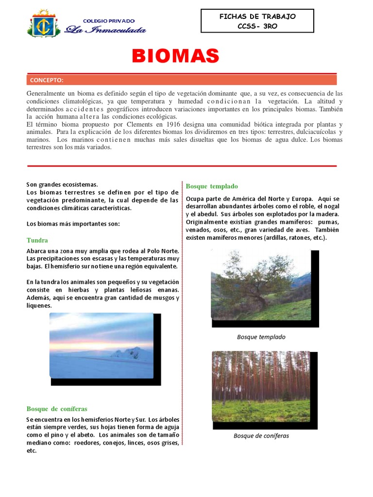 Hoja De Trabajo De Actividades Sobre Biomas Colegio Los Rosales