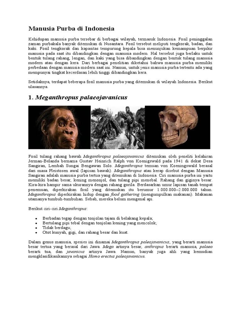 Manusia Purba Di Indonesia | PDF