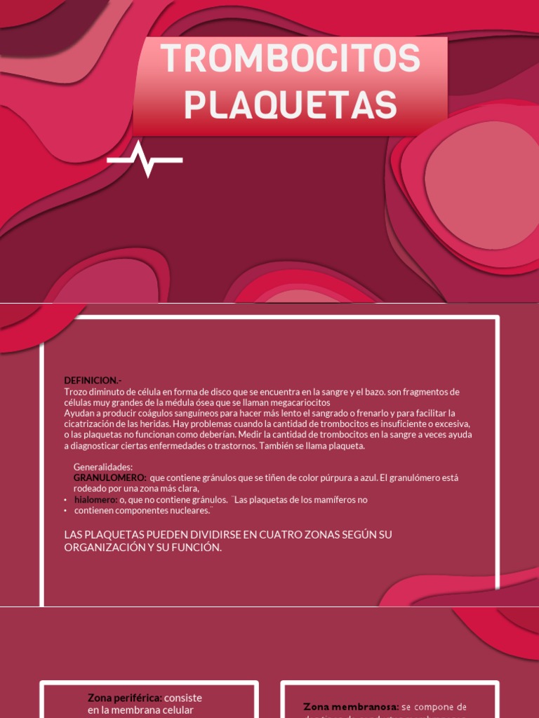 Trombocitos Plaquetas | PDF | Plaqueta | Hemostasia