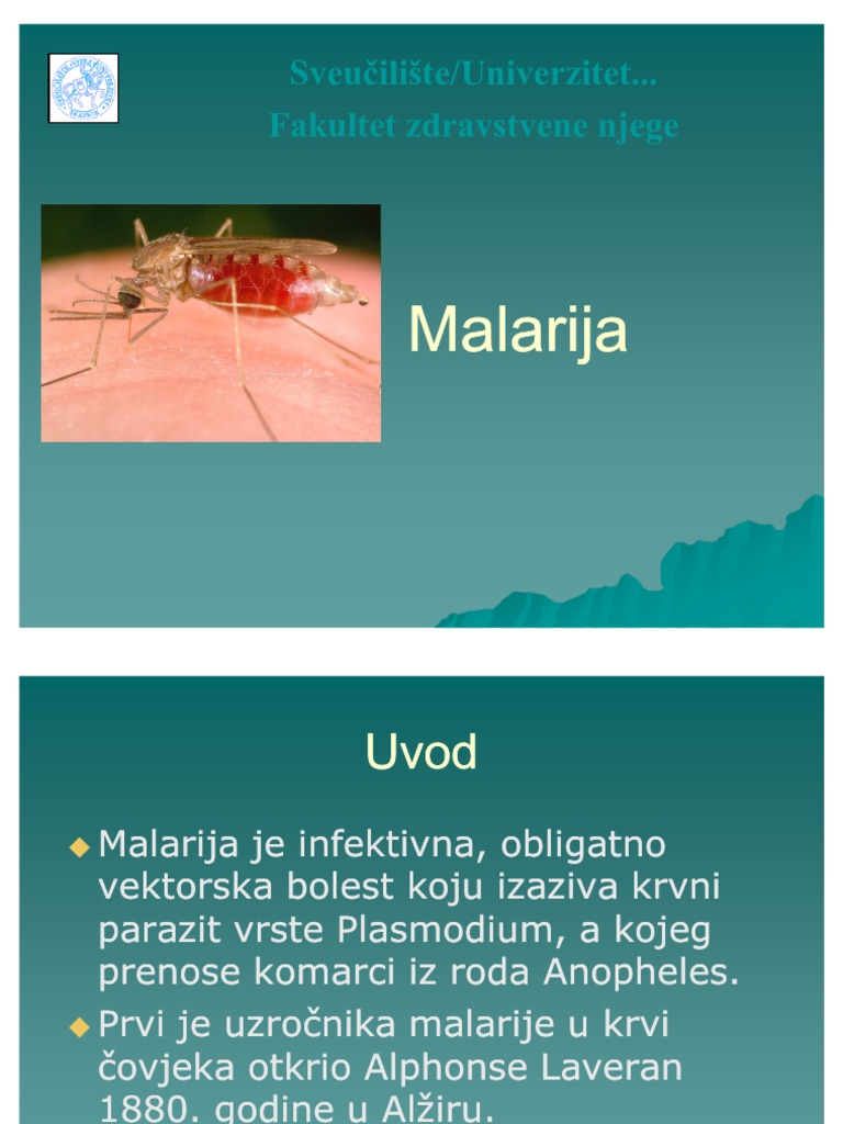 Prezentacija Malarija 1 | PDF