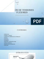 Tenorafia | PDF | Cicatrización de la herida | Tendón