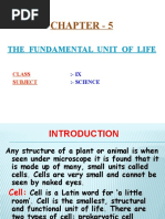 Mind Map | PDF | Cell (Biology) | Cell Membrane