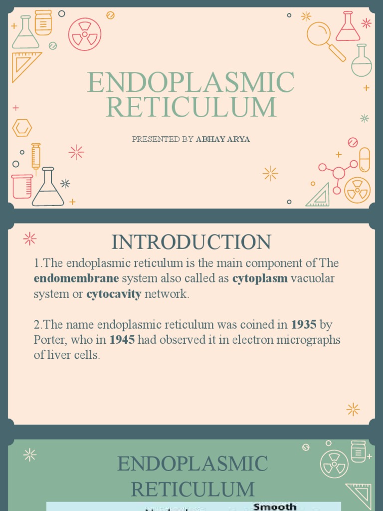 The Structure and Functions of the Endoplasmic Reticulum | PDF ...