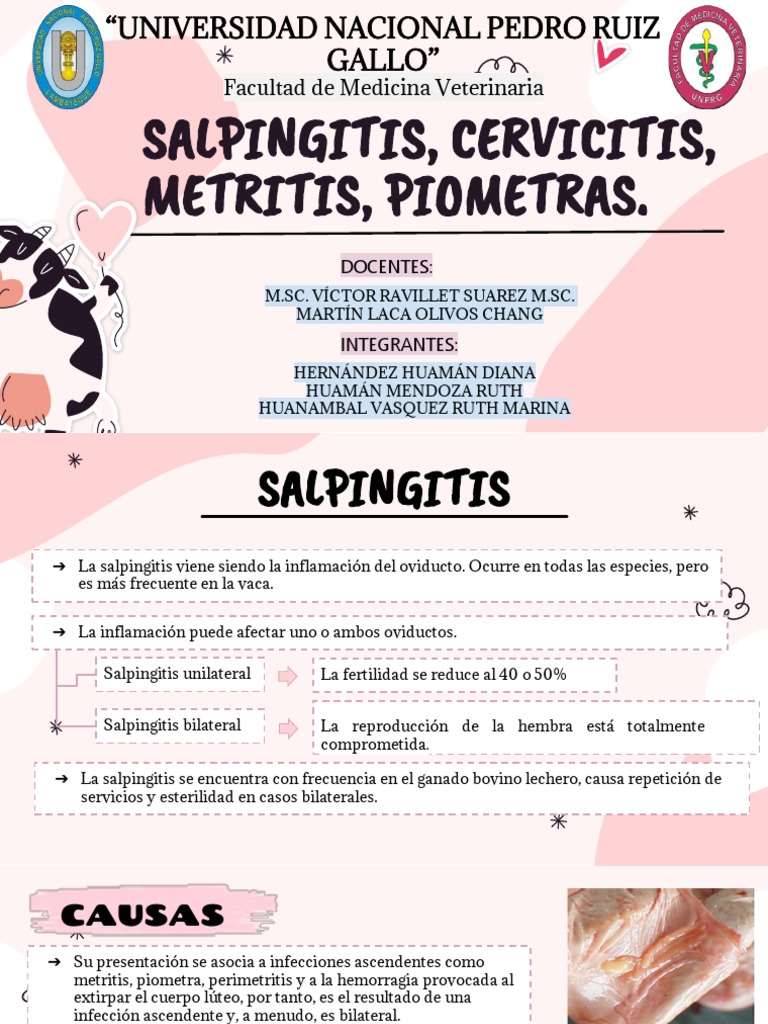 Salpingitis, Cervicitis, Metritis y Piometra - Grupo N°10 | PDF | Parto ...