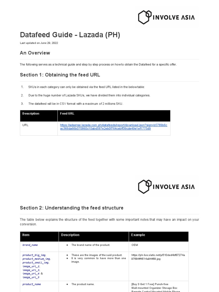 Datafeed Guide - Lazada PH | PDF | Communication | Information Age