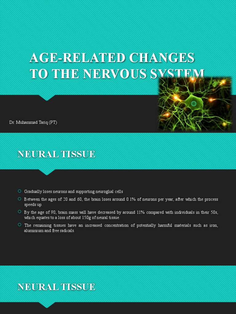 05-Normal Physical Changes Nervous System | PDF | Cerebral Cortex ...