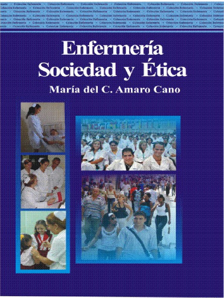 Enfermería. Sociedad y Ética (MSc. María Del Carmen Amaro Cano D) | PDF | Enfermería | Plan de ...