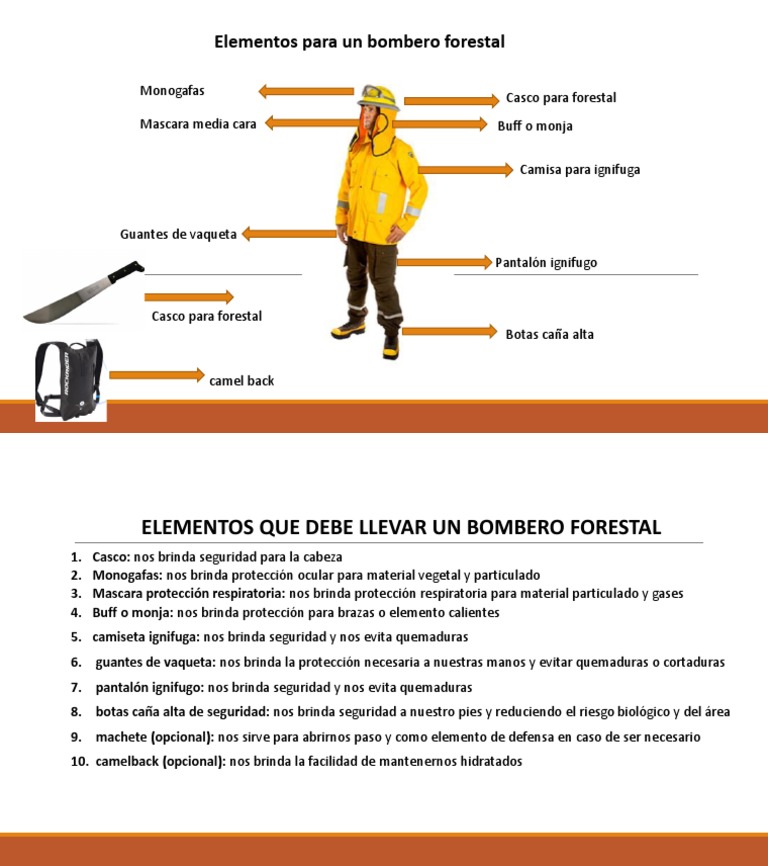 Elementos de Un Bombero Forestal | PDF
