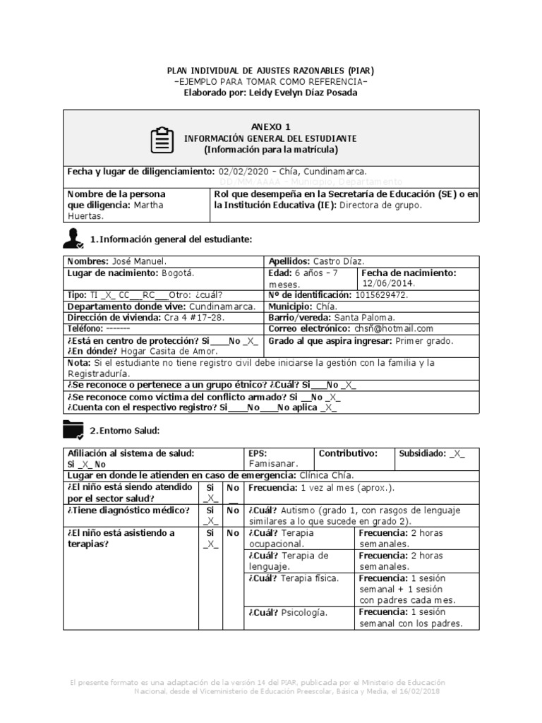 Ejemplo de PIAR | PDF | Educación de la primera infancia | Aprendizaje