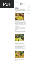 Ergi Alfheimr Guide | PDF