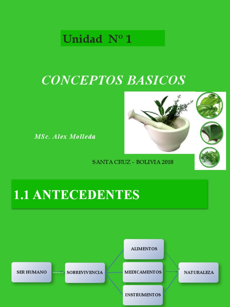 1 Concepto Basico | PDF | Plantas medicinales | Medicamentos con receta