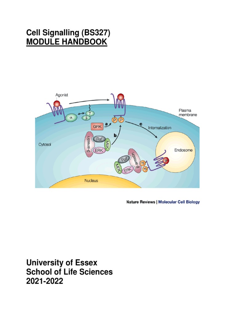 BS327 Module Handbook 2021-22 | PDF | Signal Transduction | Cell Signaling