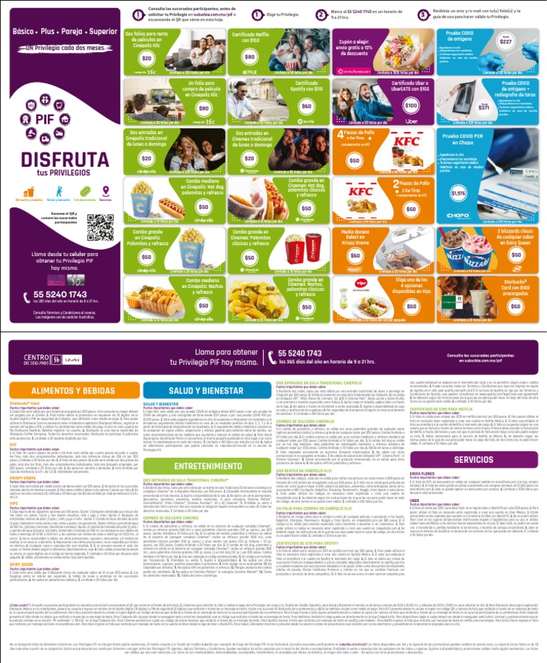 Privilegios Pif 2021 | PDF | Cupón | Teléfonos móviles