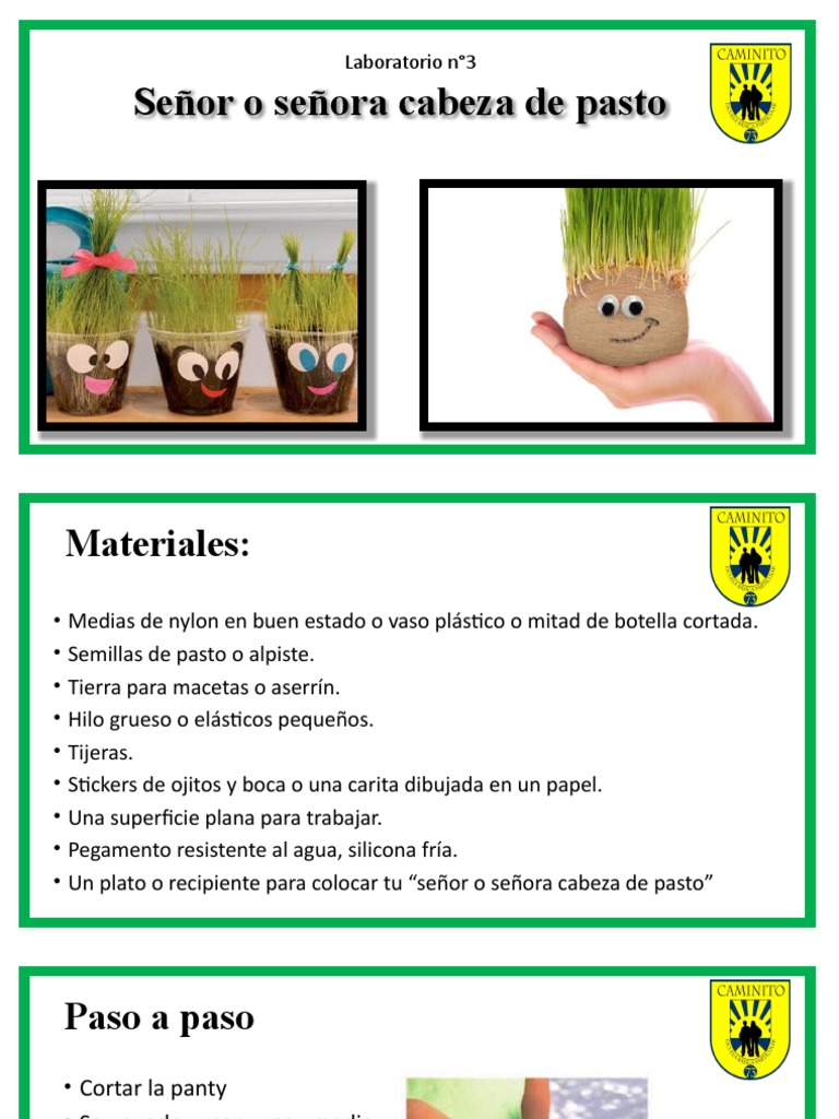 Señor y Señora Cabeza de Pasto Paso A Paso | PDF