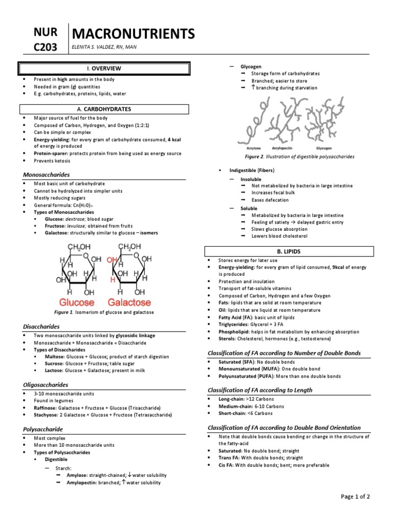 An Overview of Macronutrients: Carbohydrates, Lipids, Proteins, and ...